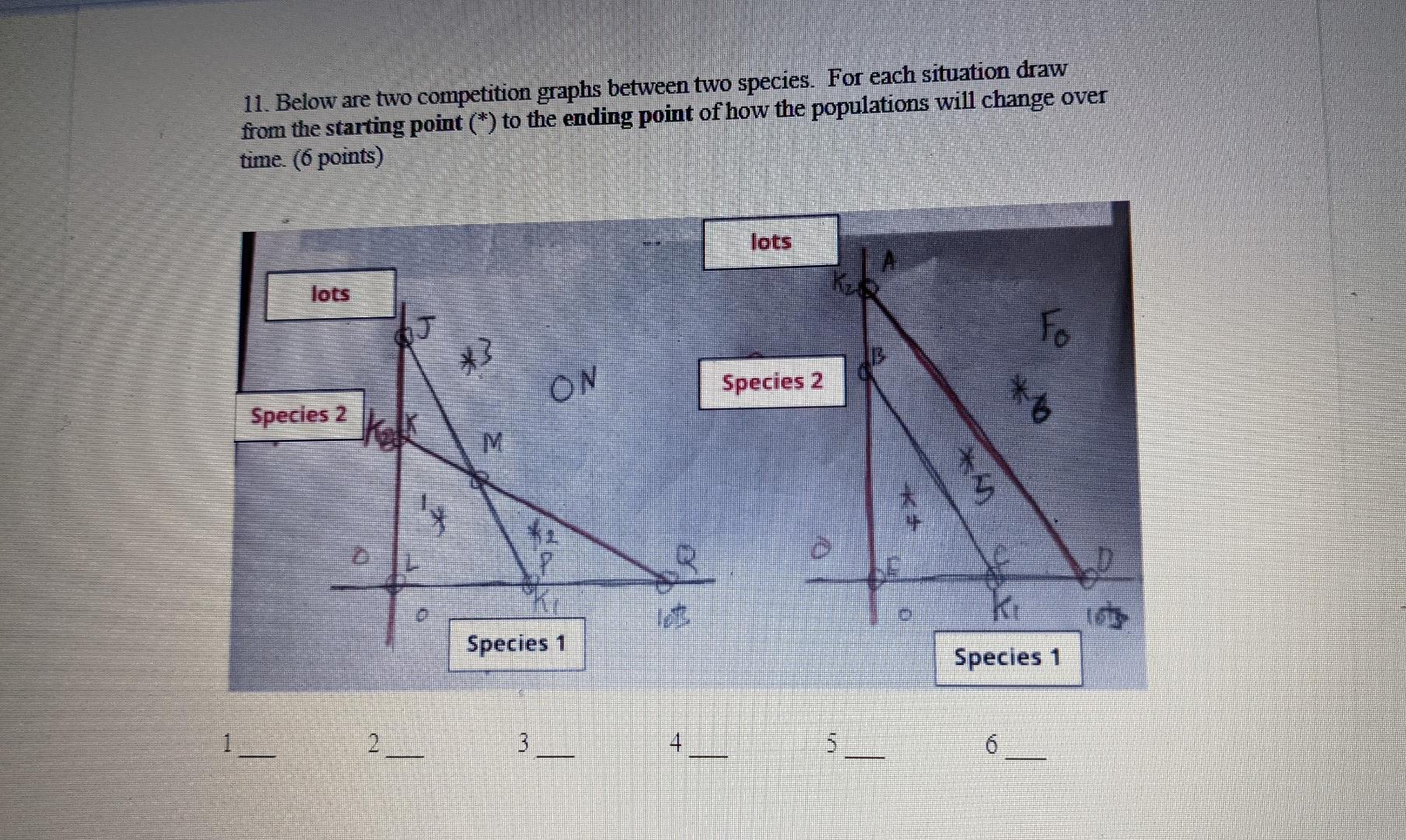 11. Below are two competition graphs between two | Chegg.com
