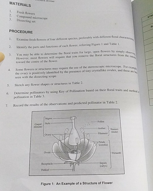 Solved Predict the most possible results as long as they fit | Chegg.com