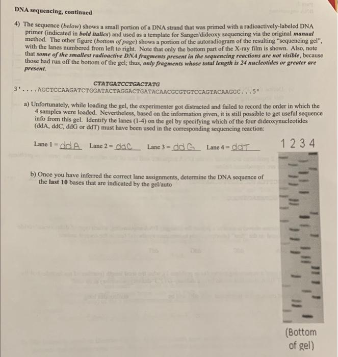 Solved DNA sequencing, continued 4) The sequence (below) | Chegg.com