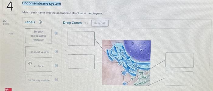 Match Each Name With The Appropriate Structure In The Diagra