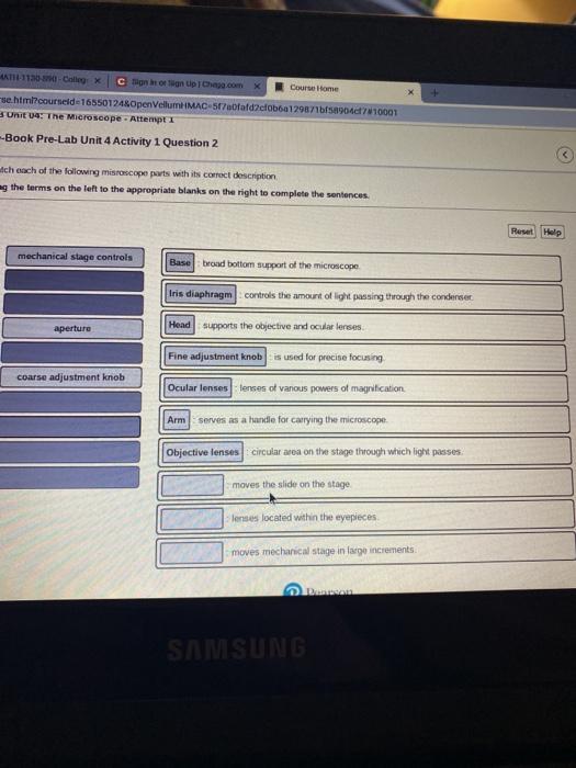 Solved 11360-Calle X C nighton Up Chegg.com Course Home | Chegg.com