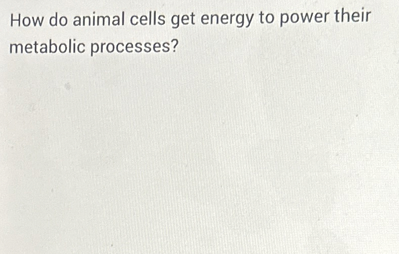 Solved How do animal cells get energy to power | Chegg.com