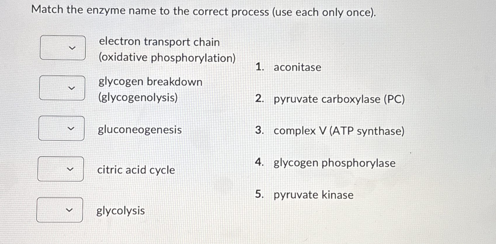 Solved Match the enzyme name to the correct process (use | Chegg.com