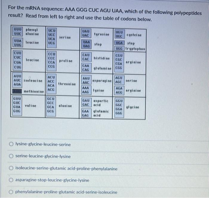 Solved For the mRNA sequence: AAA GGG CUC AGU UAA, which of | Chegg.com