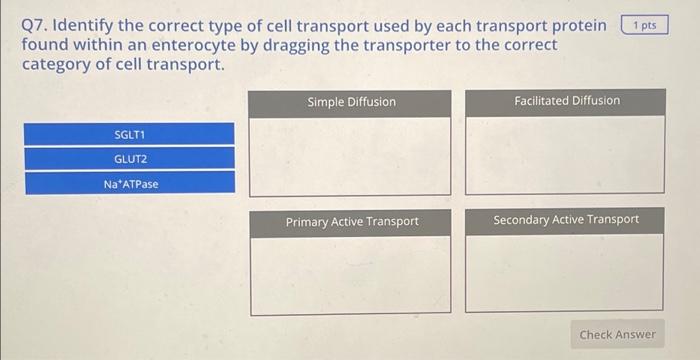 Solved Q7. Identify the correct type of cell transport used | Chegg.com