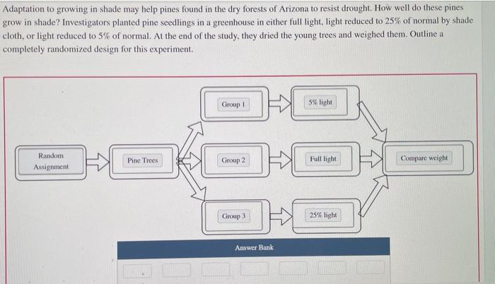 Adaptation to growing in shade may help pines found | Chegg.com