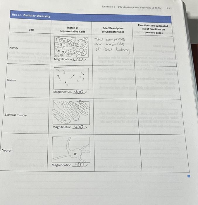 Solved Reercise a The Anatumy and Diversity of Crll. 31 | Chegg.com