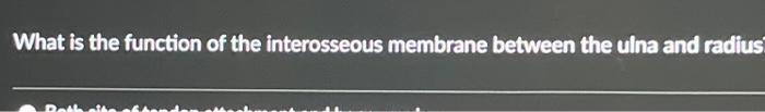 Solved What is the function of the interosseous membrane | Chegg.com