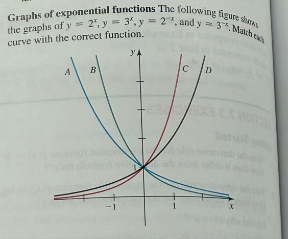 Solved Graphs of exponential functions The following figure | Chegg.com