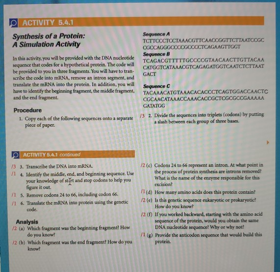 Solved ACTIVITY 5.4.1 Synthesis of a Protein: A Simulation | Chegg.com