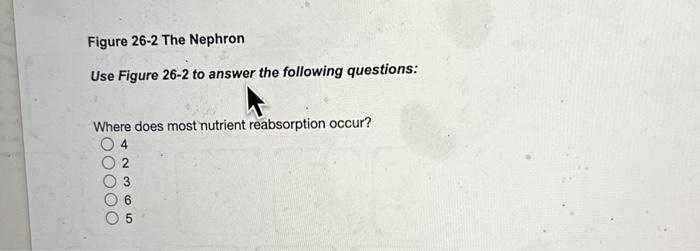 Solved Use Figure 26-2 to answer the following questions: | Chegg.com