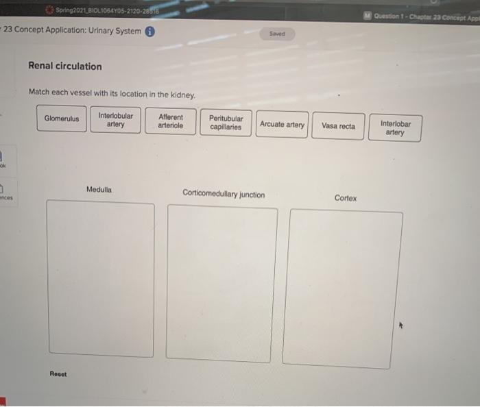 Solved Speing2021_BIOL.106.4Y05-2120-28518 - 23 Concept | Chegg.com