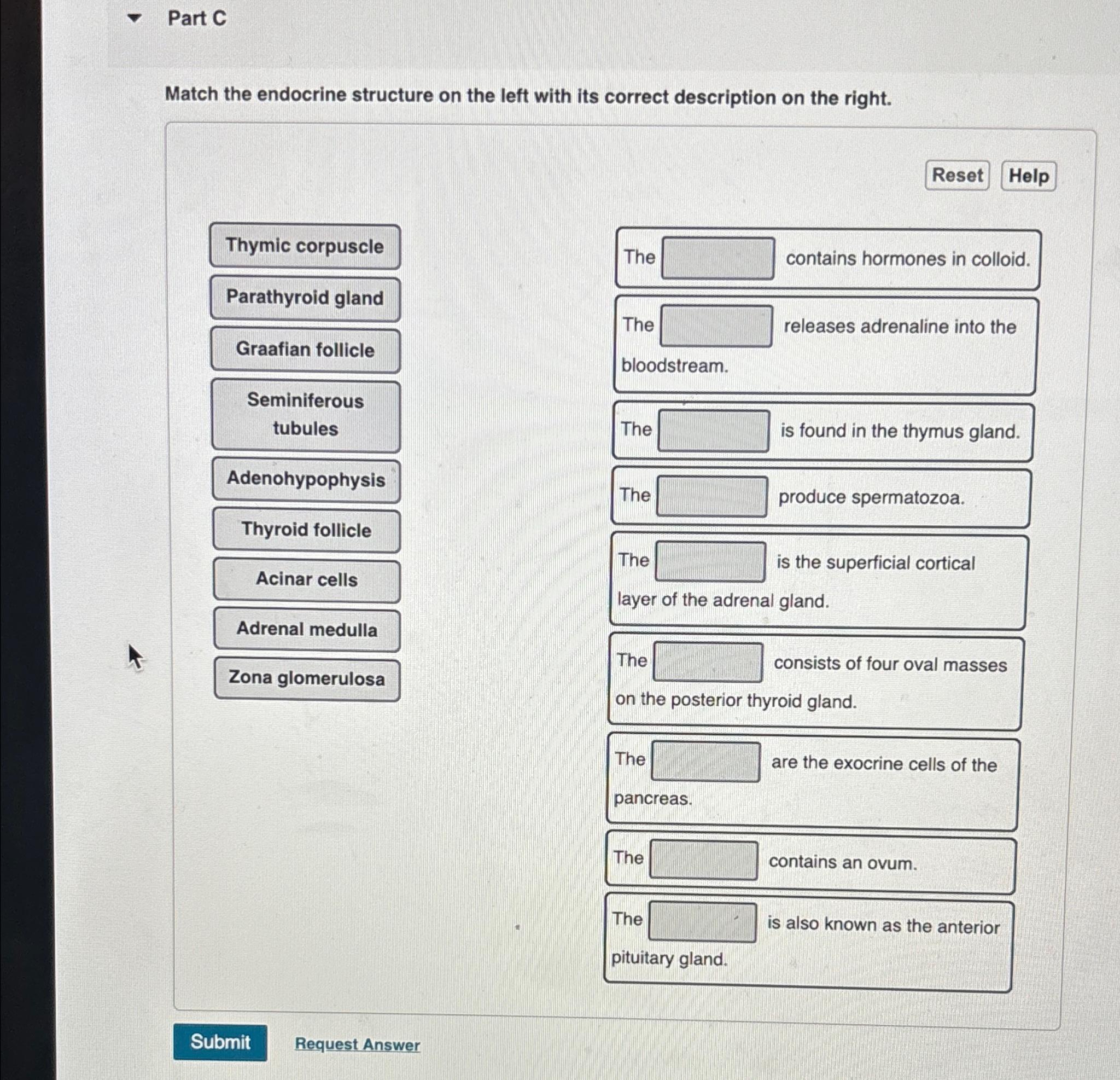 Solved Part CMatch the endocrine structure on the left with | Chegg.com