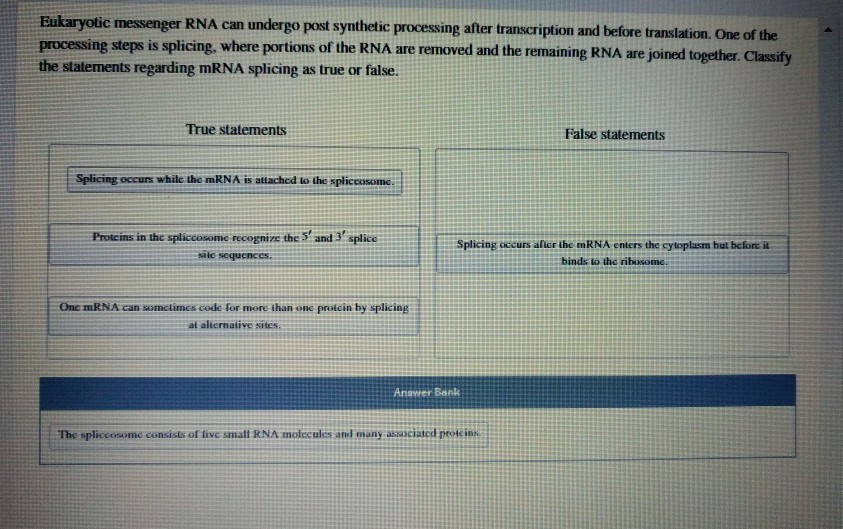 Solved Eukaryotic messenger RNA can undergo post synthetic | Chegg.com