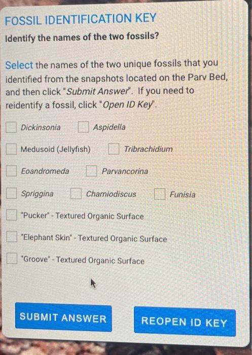 Solved How to locate and identify specific fossils. After | Chegg.com