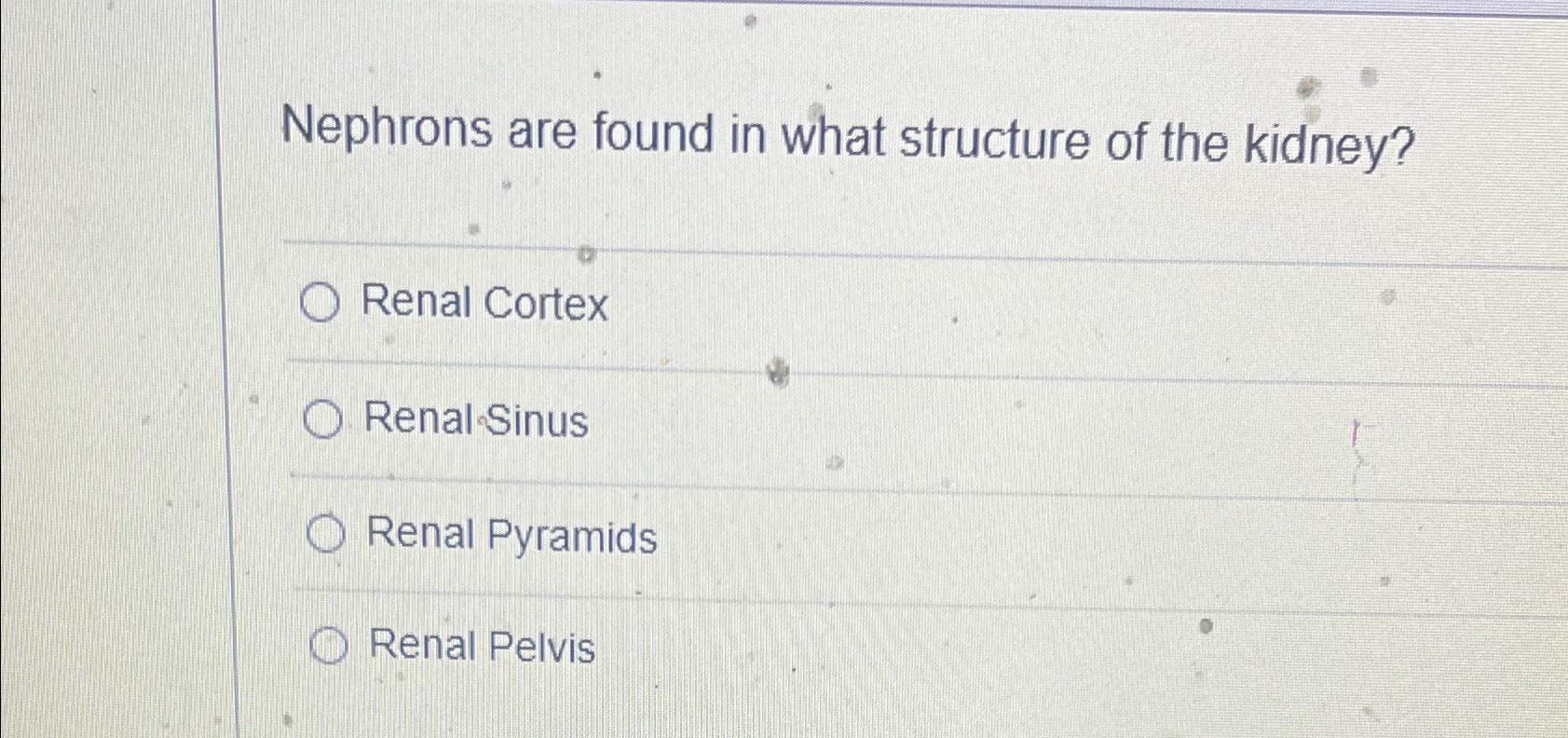 Solved Nephrons are found in what structure of the | Chegg.com