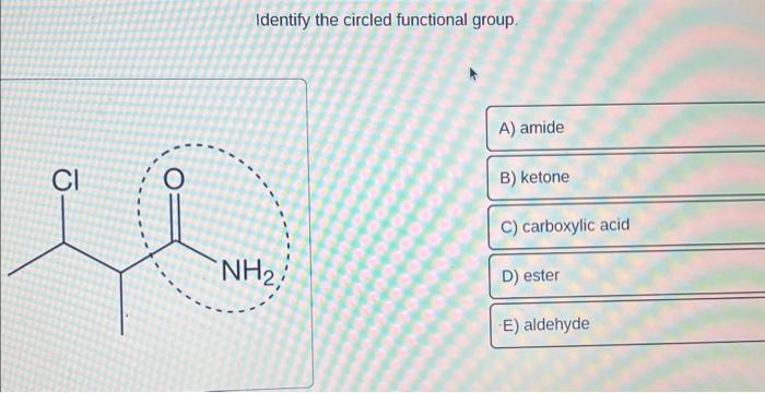 Solved Identify the circled functional group. | Chegg.com