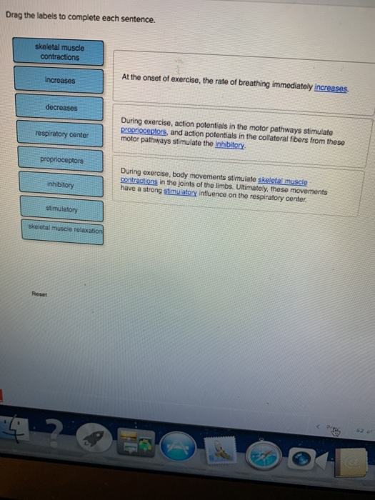 Solved Drag the labels to complete each sentence. skeletal | Chegg.com