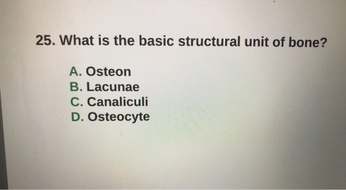 Solved 25. What is the basic structural unit of bone? A. | Chegg.com