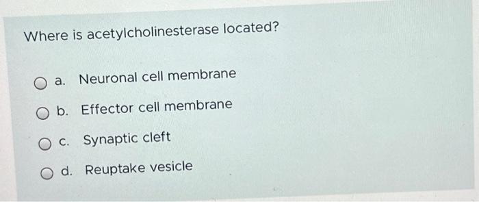 Solved Where in the spinal cord do the preganglionic neurons | Chegg.com