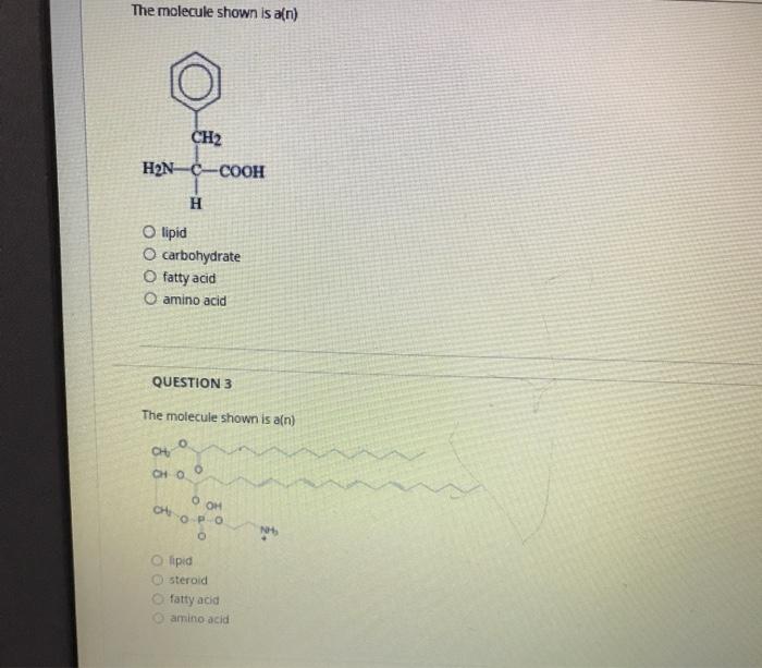 Solved The molecule shown is an) CH2 H2N-C-COOH H O lipid O | Chegg.com