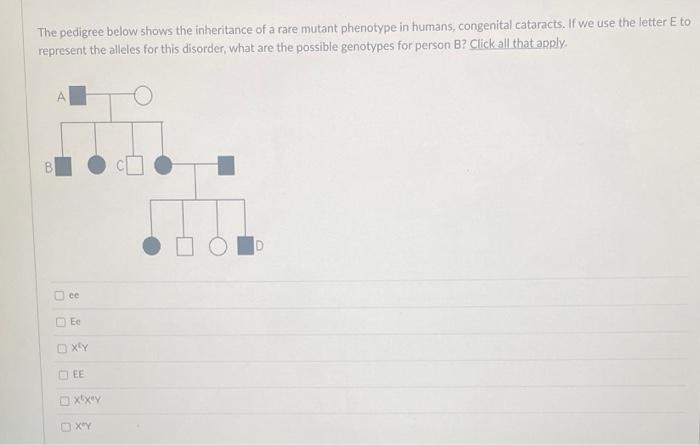 Solved The pedigree below shows the inheritance of a rare | Chegg.com