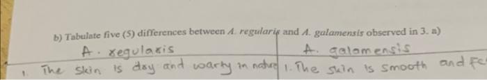 Solved - b) Tabulate five (5) differences between 1. | Chegg.com