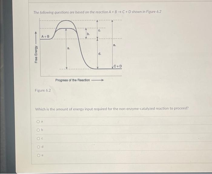 Solved The following questions are based on the reaction A+B | Chegg.com
