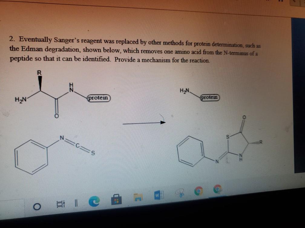 Solved 2. Eventually Sanger's reagent was replaced by other | Chegg.com