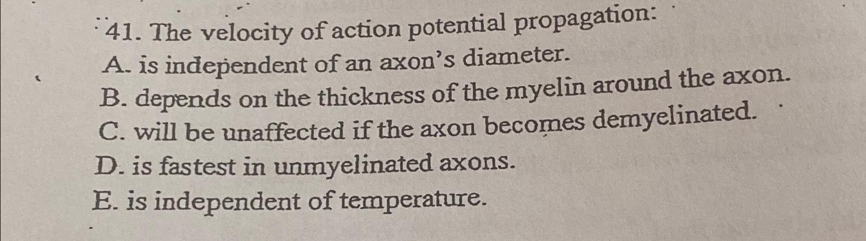 Solved The velocity of action potential propagation:A. ﻿is | Chegg.com