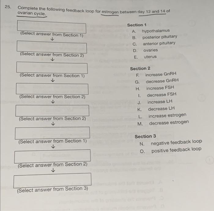 Solved complete the following feedback loop for estrogen | Chegg.com