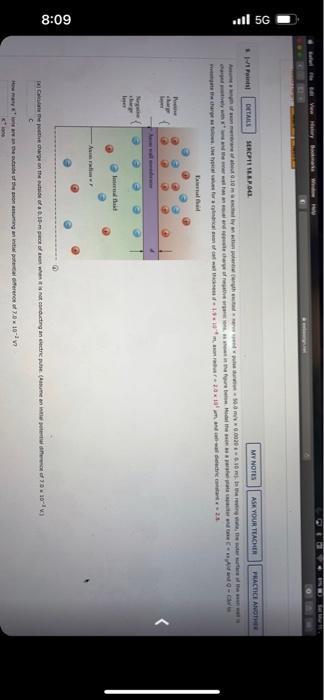 Solved Assume a length of axon membrane of about 0.10 m is | Chegg.com