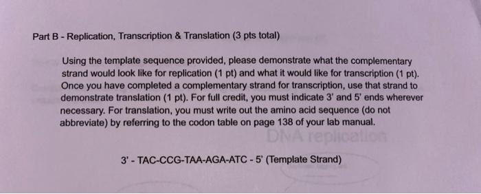 Solved Part B - Replication, Transcription & Translation (3 | Chegg.com