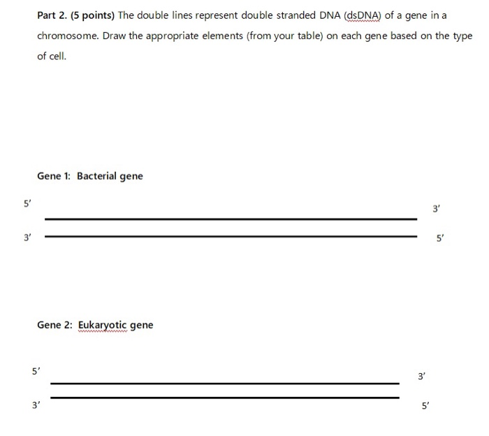 Solved Part 2. (5 points) The double lines represent double | Chegg.com
