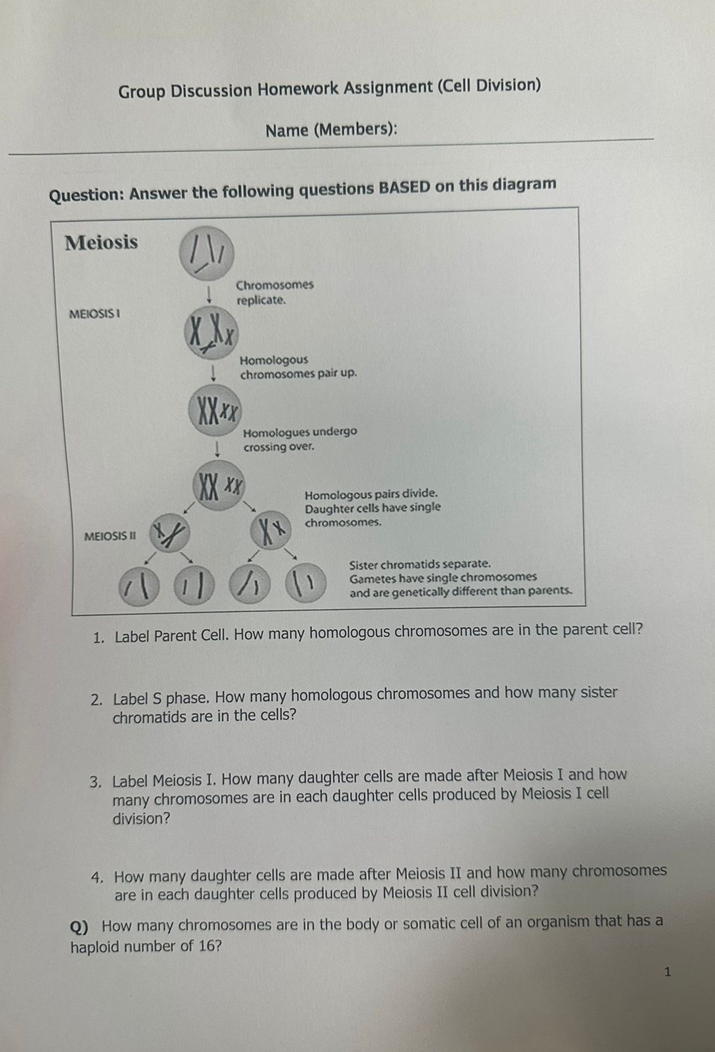 Group Discussion Homework Assignment (Cell | Chegg.com
