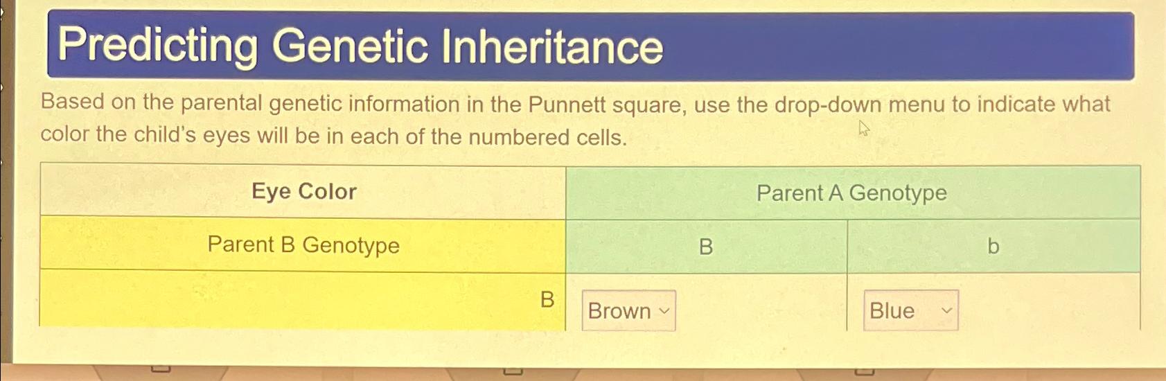 Solved Predicting Genetic InheritanceBased on the parental | Chegg.com