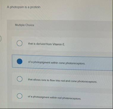 Solved A photopsin is a proteinMultiple Choice\geoquad that | Chegg.com