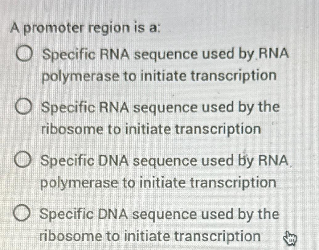 Solved A promoter region is a:Specific RNA sequence used by | Chegg.com