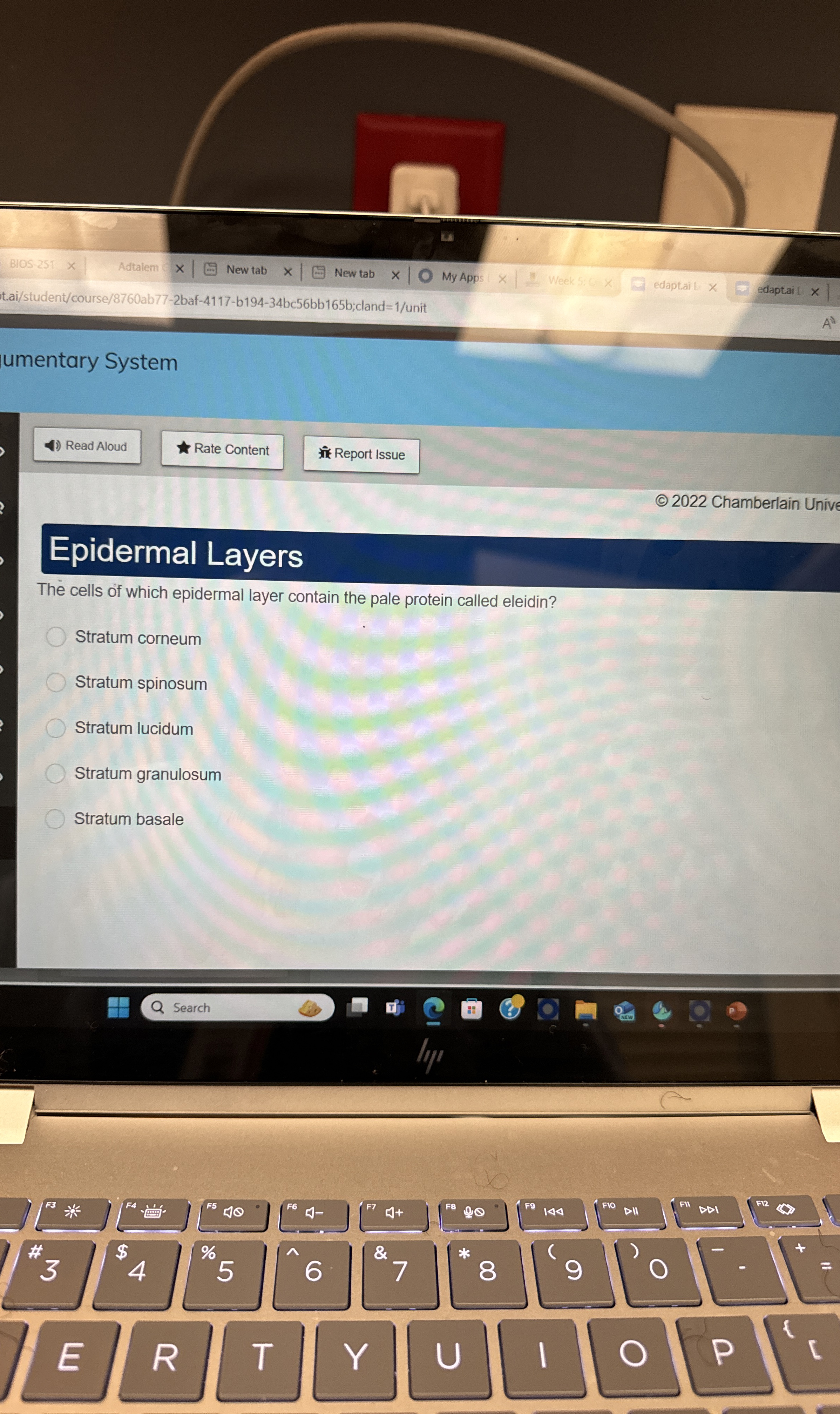 Solved umentary System© 2022 ﻿Chamberlain UniveEpidermal | Chegg.com