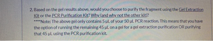 Solved GeneRuler" 1 kb DNA Ladder O'GeneRuler" 1 kb DNA | Chegg.com