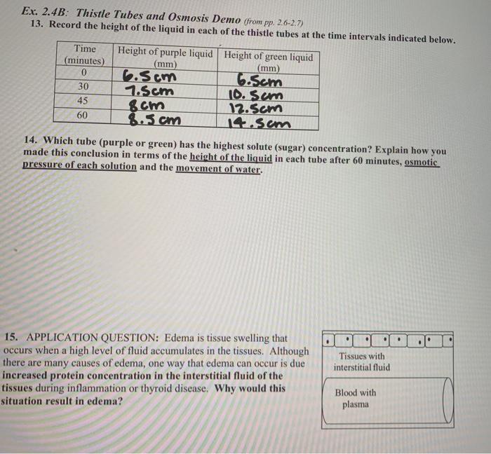Solved Ex. 2.4B: Thistle Tubes and Osmosis Demo (from pp. | Chegg.com
