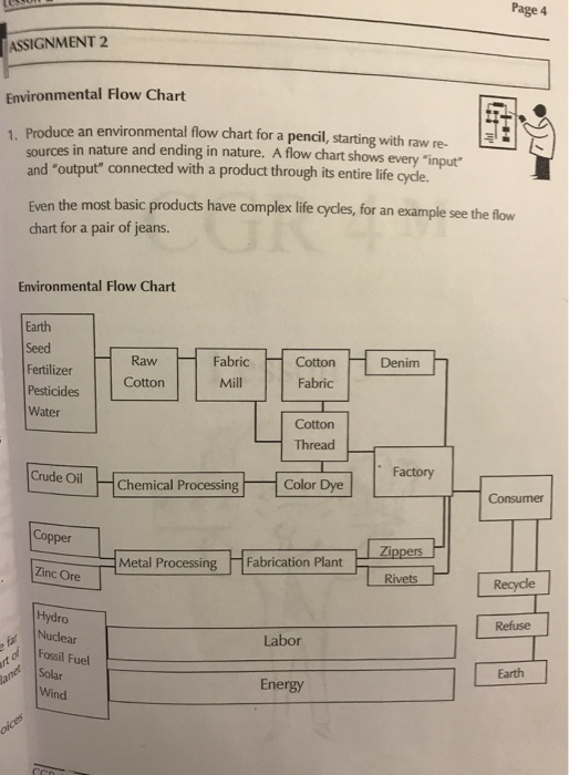 Solved LUSSON Page 4 ASSIGNMENT 2 Environmental Flow Chart 1 | Chegg.com