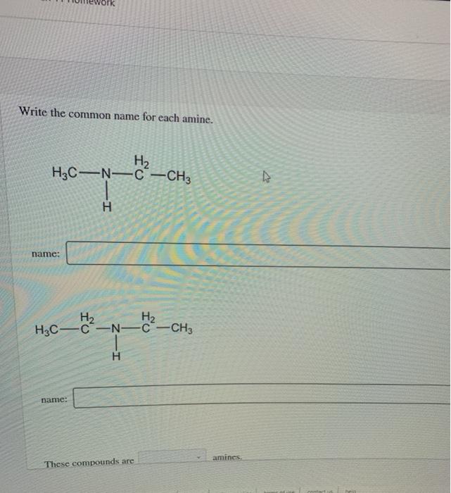 Solved Write the common name for each amine. H H3C-N-C-CH3 | Chegg.com