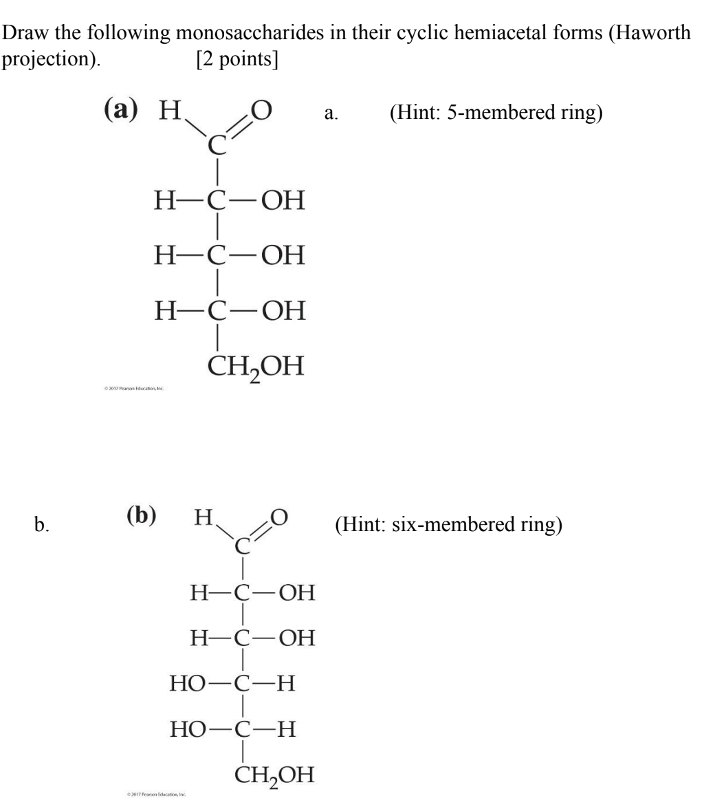 Solved Draw the following monosaccharides in their cyclic | Chegg.com