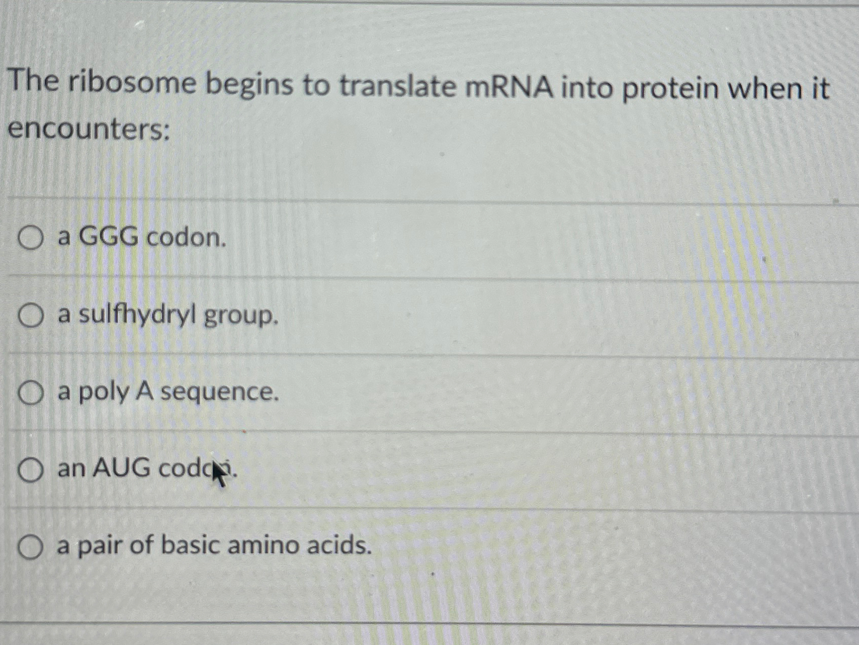 Solved The ribosome begins to translate mRNA into protein | Chegg.com