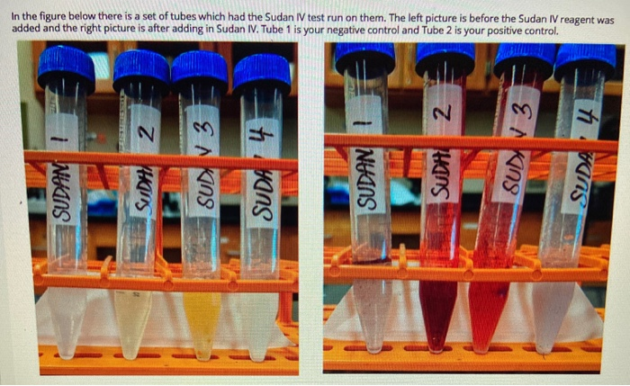 Solved In the figure below there is a set of tubes which had | Chegg.com