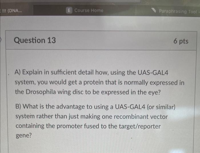 Solved A) Explain in sufficient detail how, using the | Chegg.com