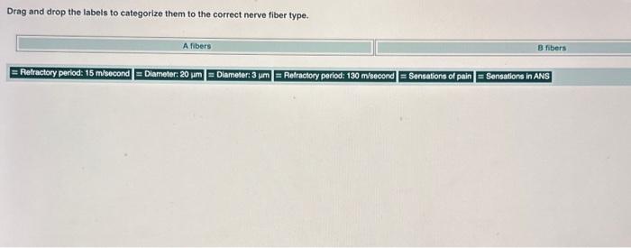 Solved Drag and drop the labels to categorize them to the | Chegg.com