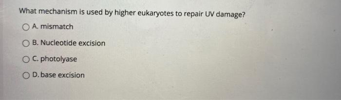 Solved The lac repressor functions as a tetramer and | Chegg.com