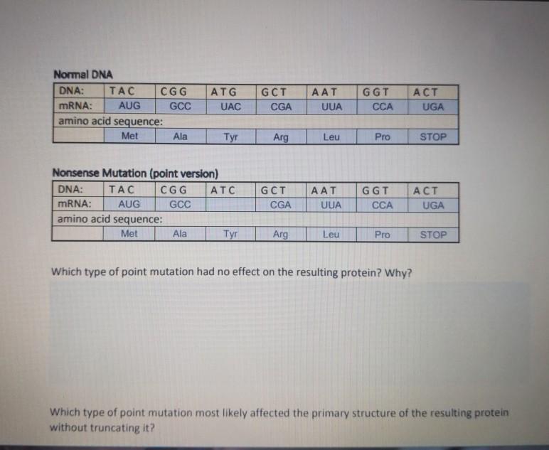 Solved Instructions Fill in the appropriate mRNA and amino | Chegg.com